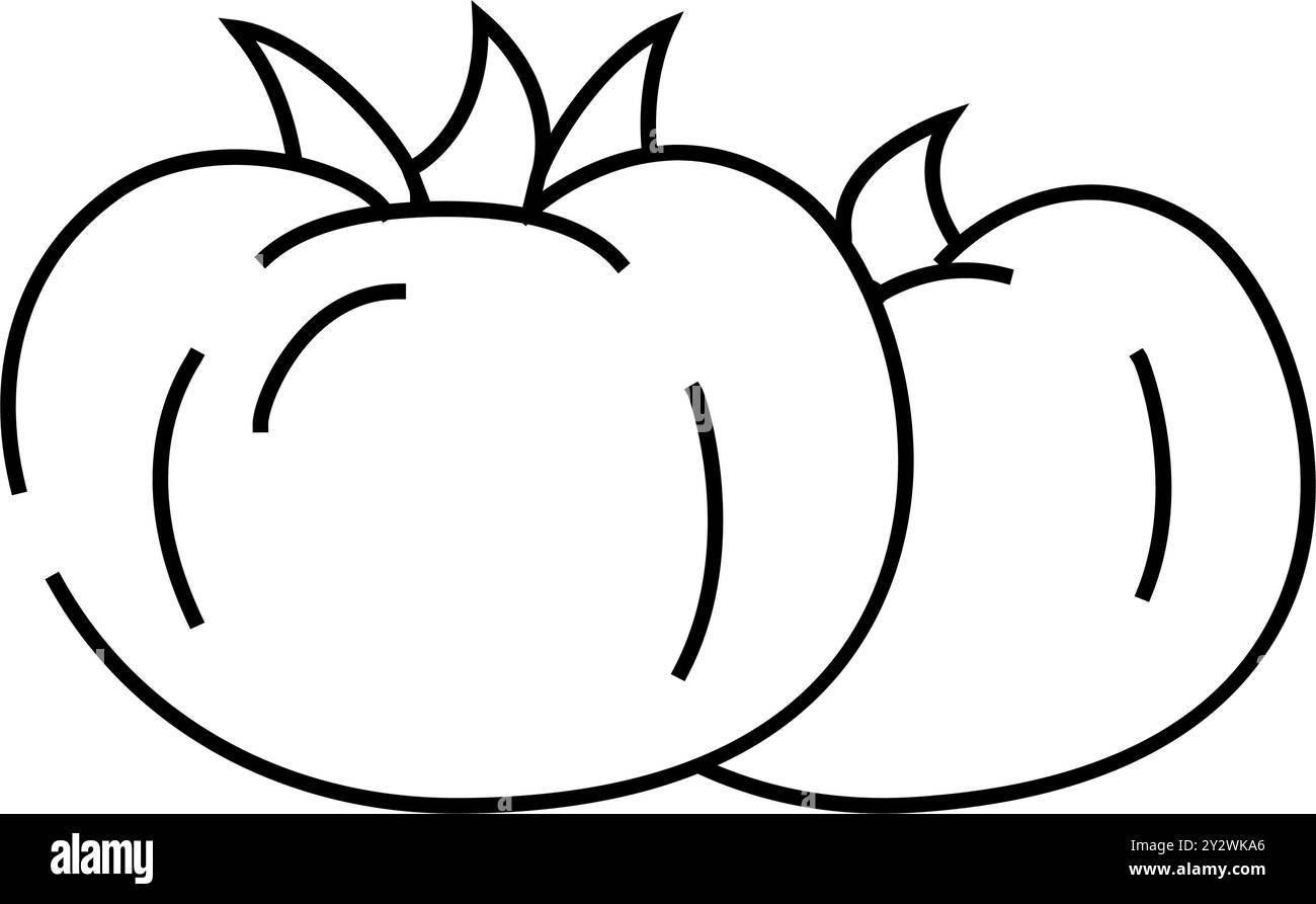 tomatoes of various colors line icon vector illustration Stock Vector ...