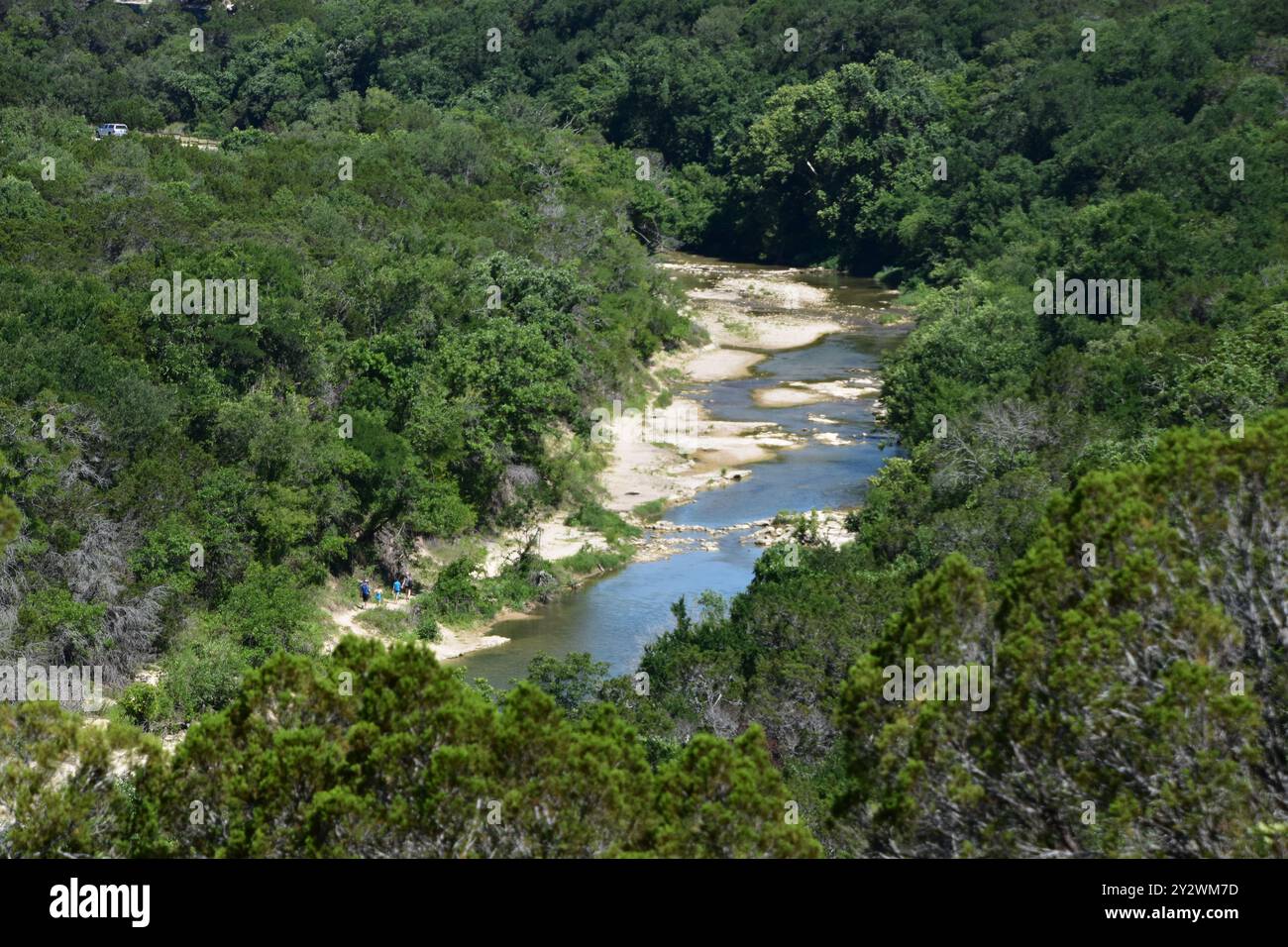 Aerial view of a river flowing through a dense forest with visible ...