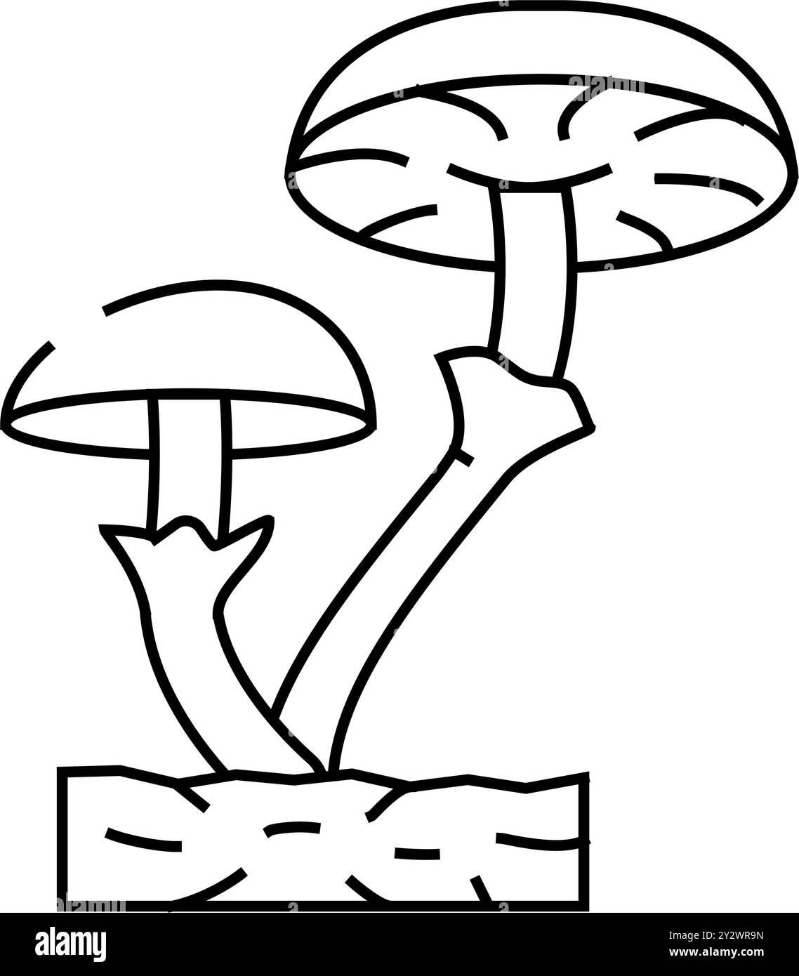 fungi mushroom line icon vector illustration Stock Vector Image & Art ...