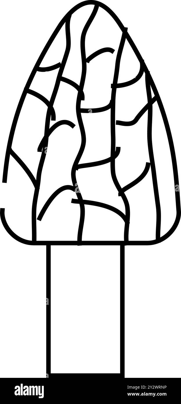 Black morel forest picking Stock Vector Images - Alamy