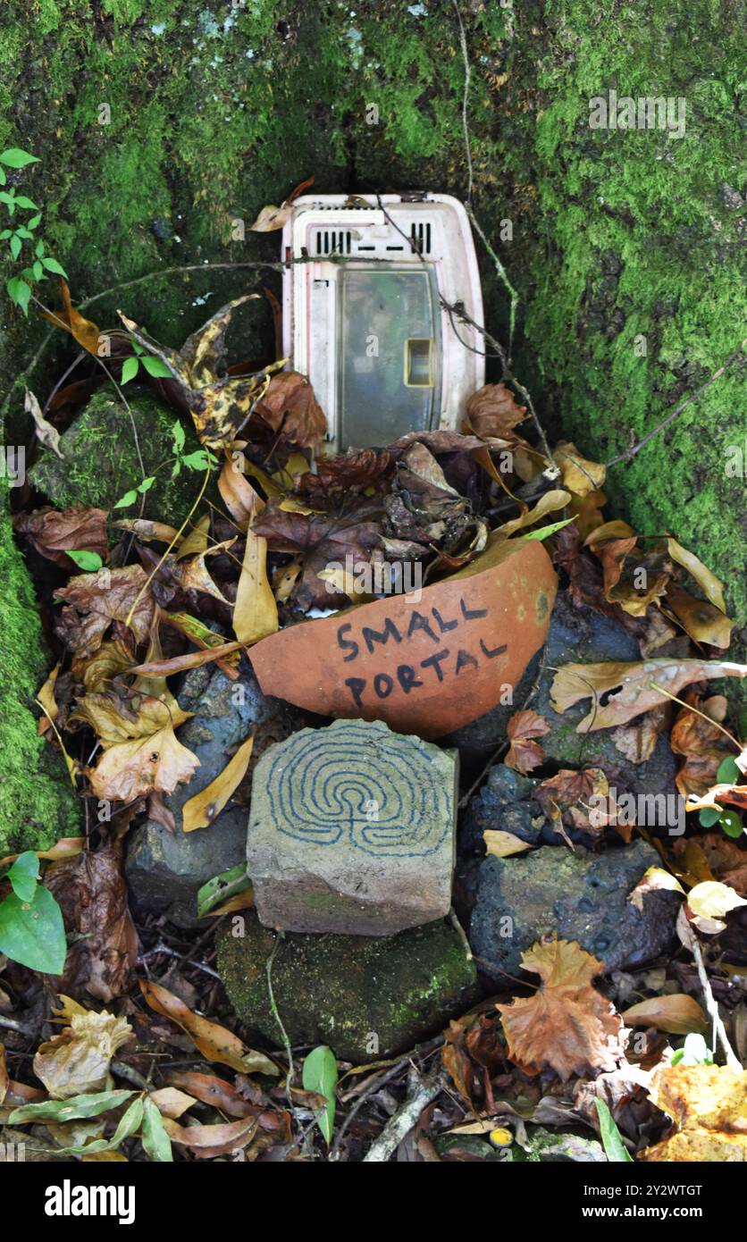 "Small portal" sign at the base of a mossy tree at Doll's Head Trail of ...