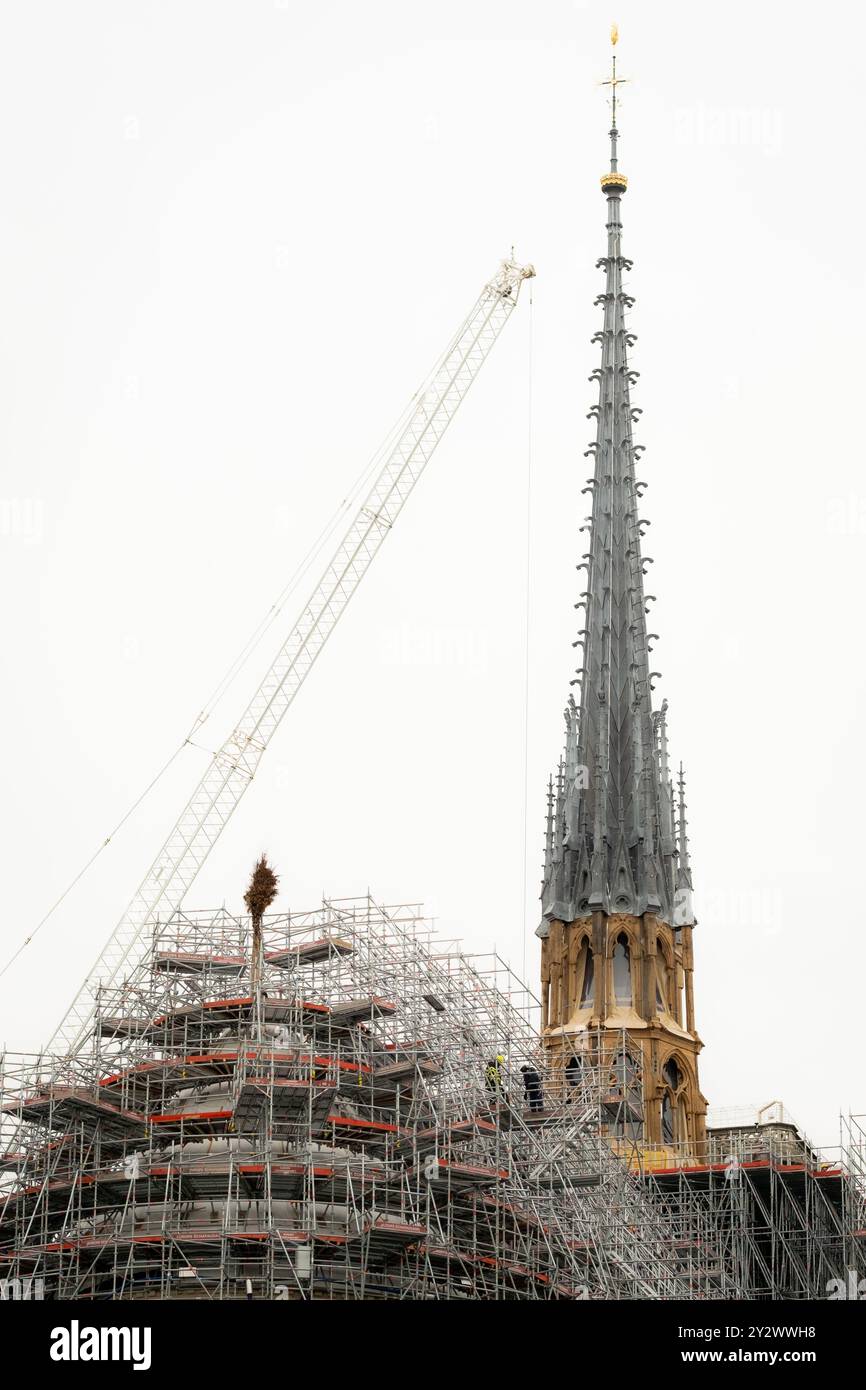 A historic church spire under restoration with scaffolding and a crane ...