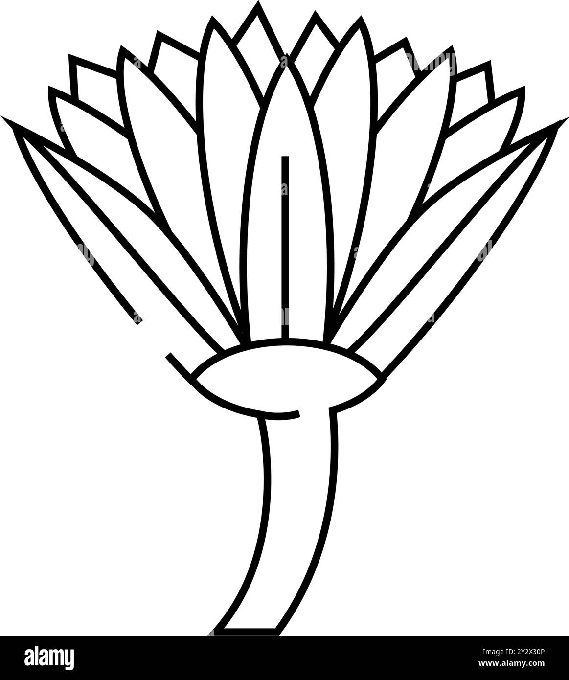 Bug lotus flower Black and White Stock Photos & Images - Alamy