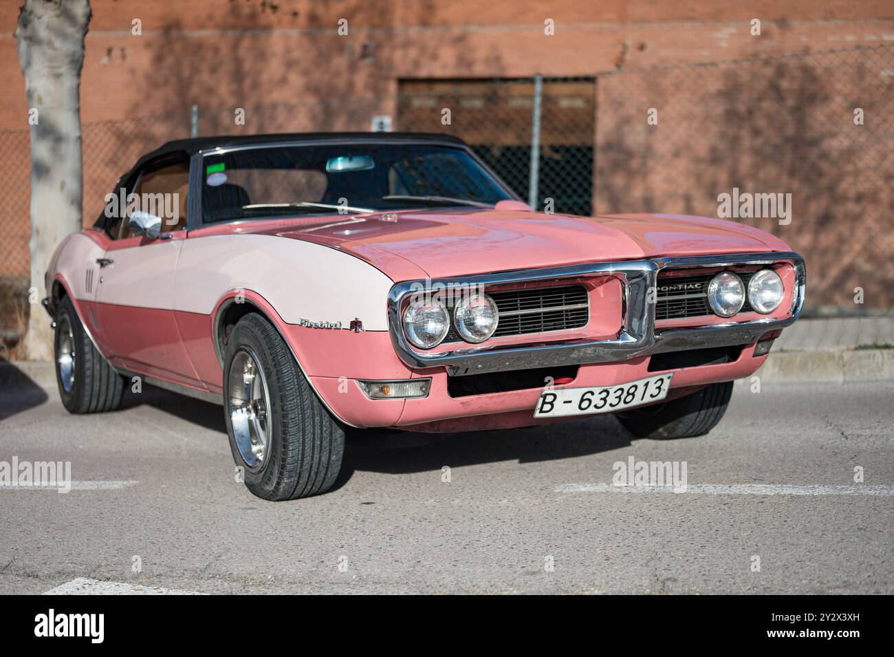 Front view of a classic American sports car. The two-tone pink first ...
