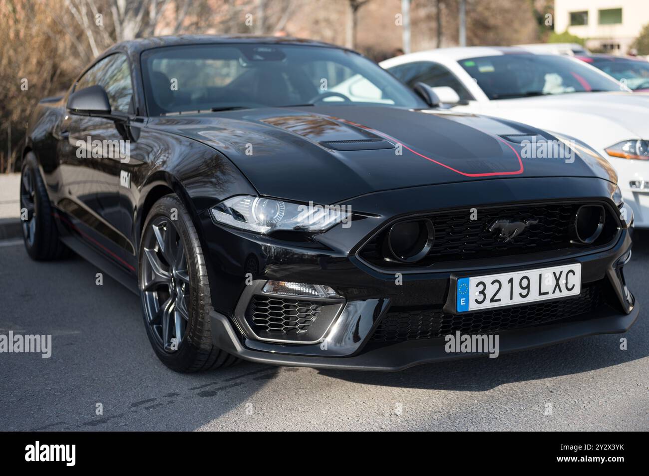 Front view of a modern sixth-generation Ford Mustang Mach 1 American ...