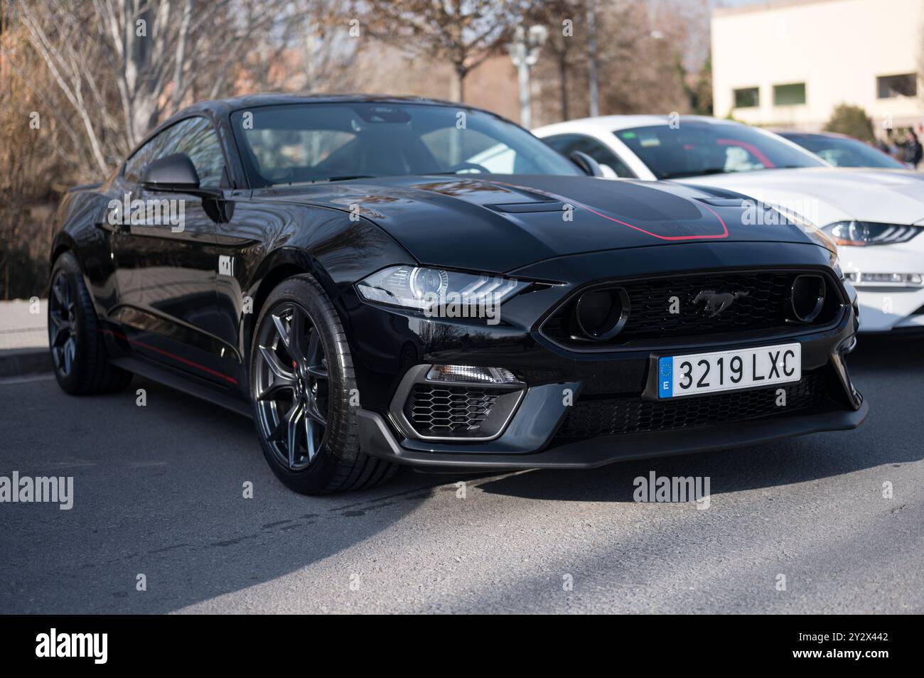 Front view of a modern sixth-generation Ford Mustang Mach 1 American ...