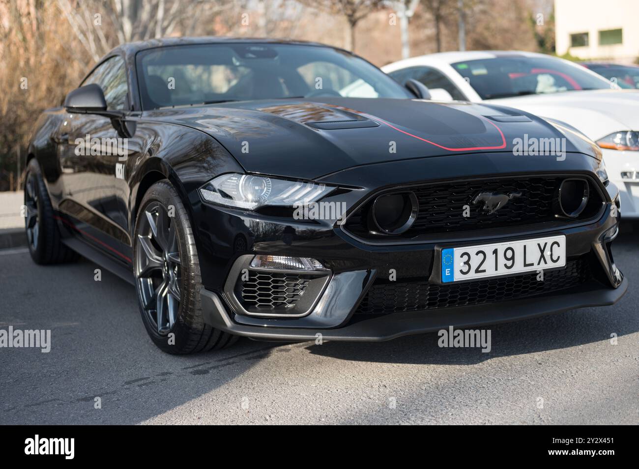 Front view of a modern sixth-generation Ford Mustang Mach 1 American ...