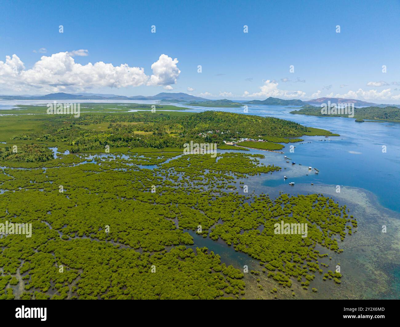 Green mangroves mindanao philippines hi-res stock photography and ...