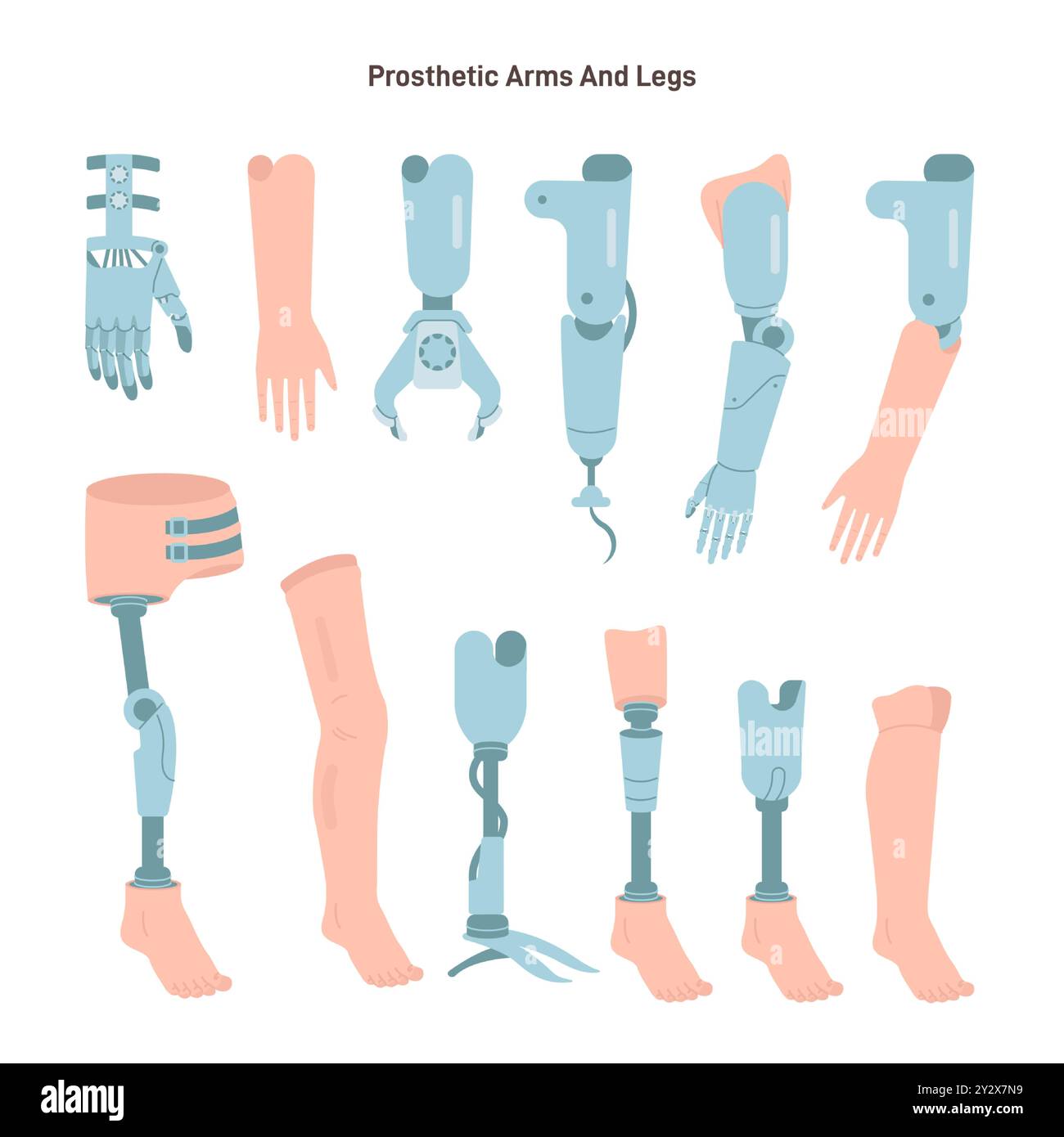 Artificial limbs types set. Prosthesis for arm and legs. Biotechnology ...