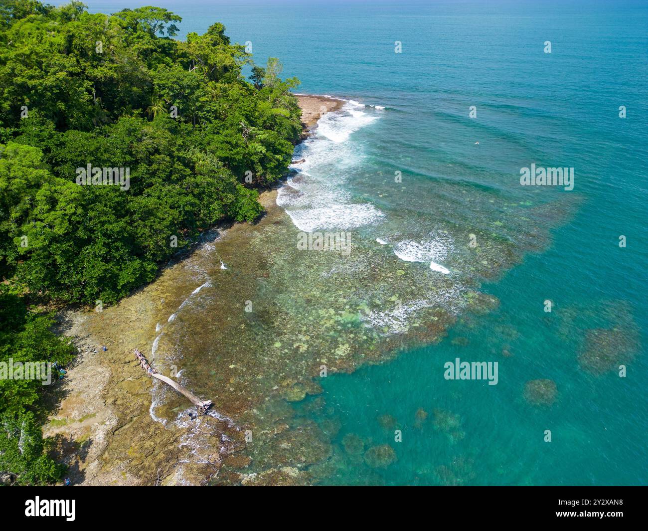 Aerial view of a tropical coastline with lush green forest meeting the ...