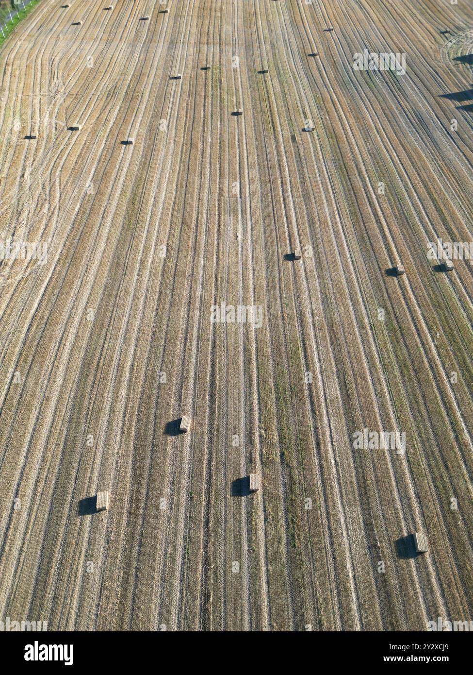 Aerial view of a harvested field with evenly spaced hay bales creating ...