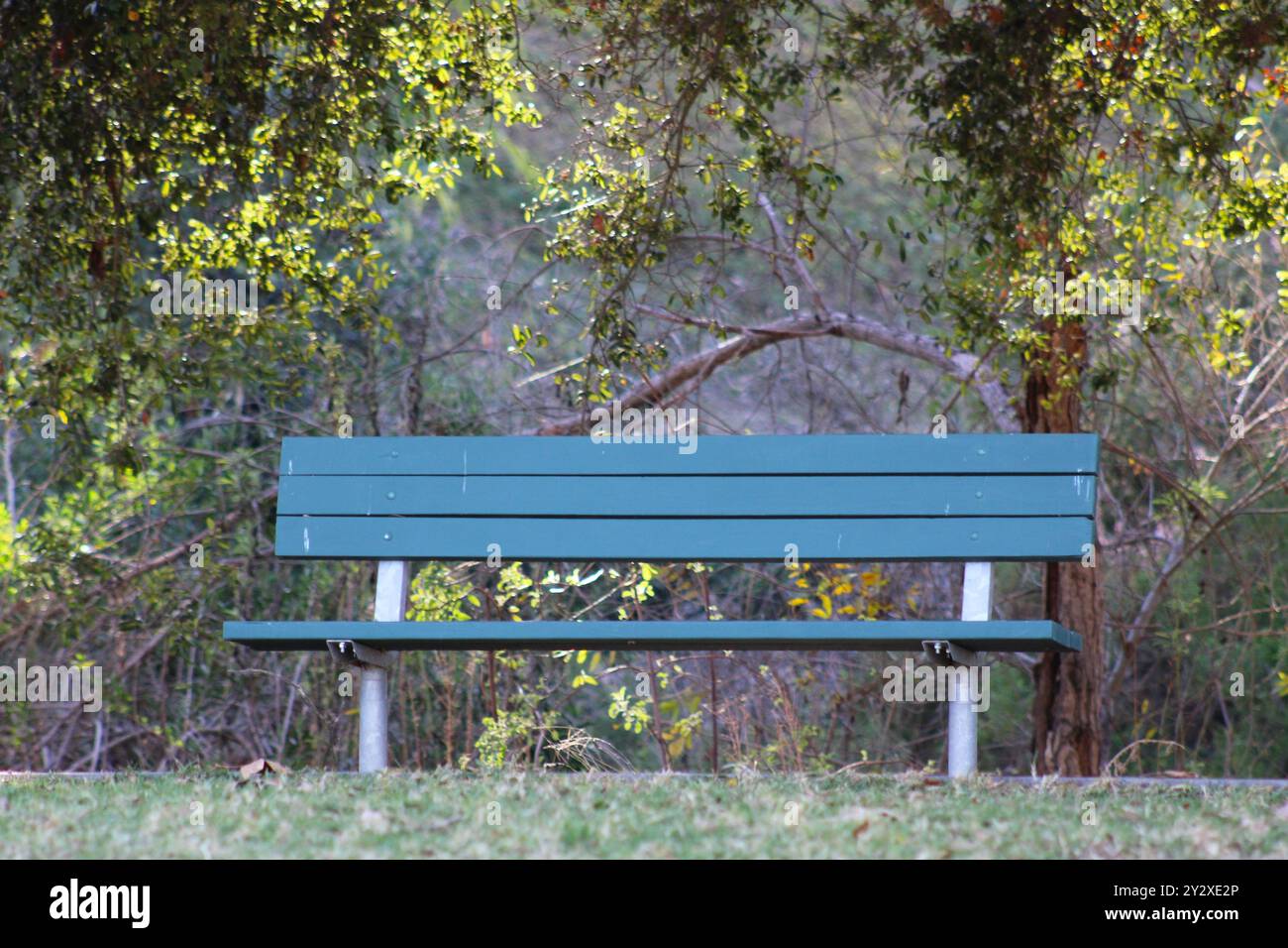 green park bench near trees and grass Stock Photo - Alamy