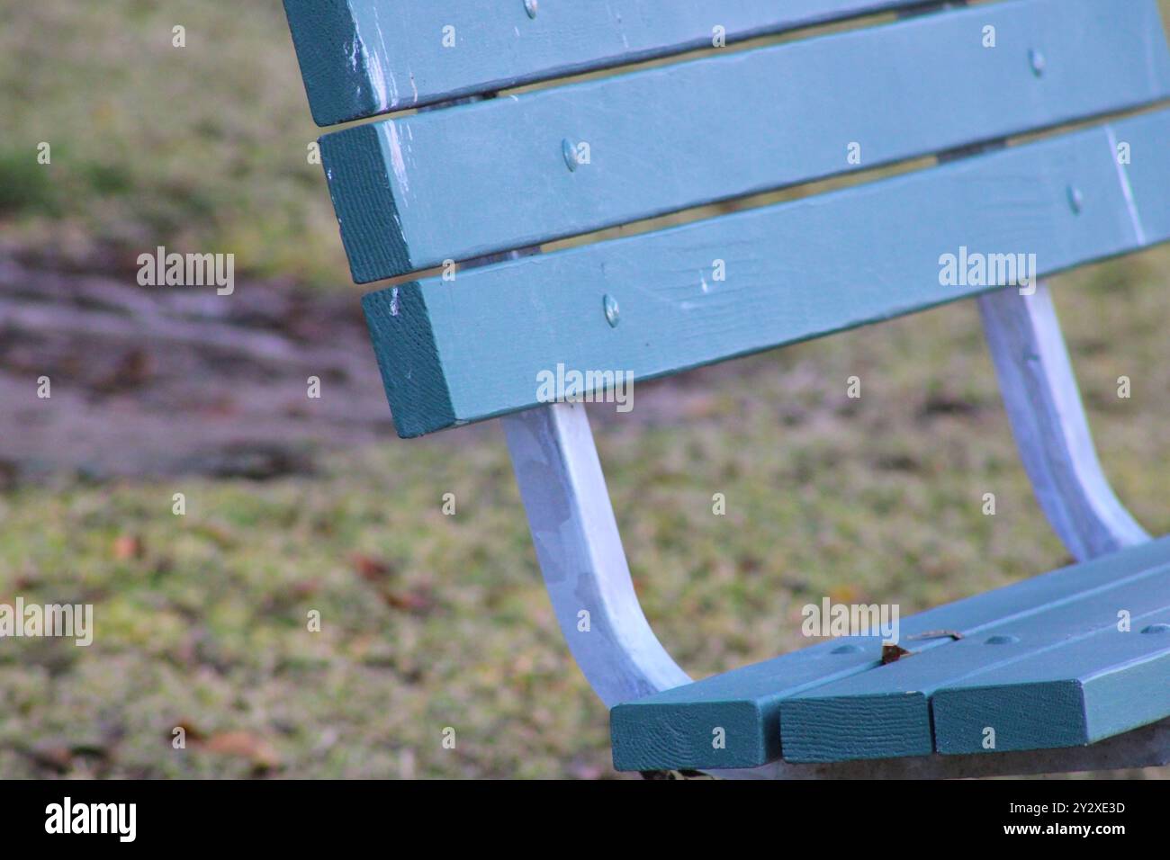 green park bench near trees and grass Stock Photo - Alamy