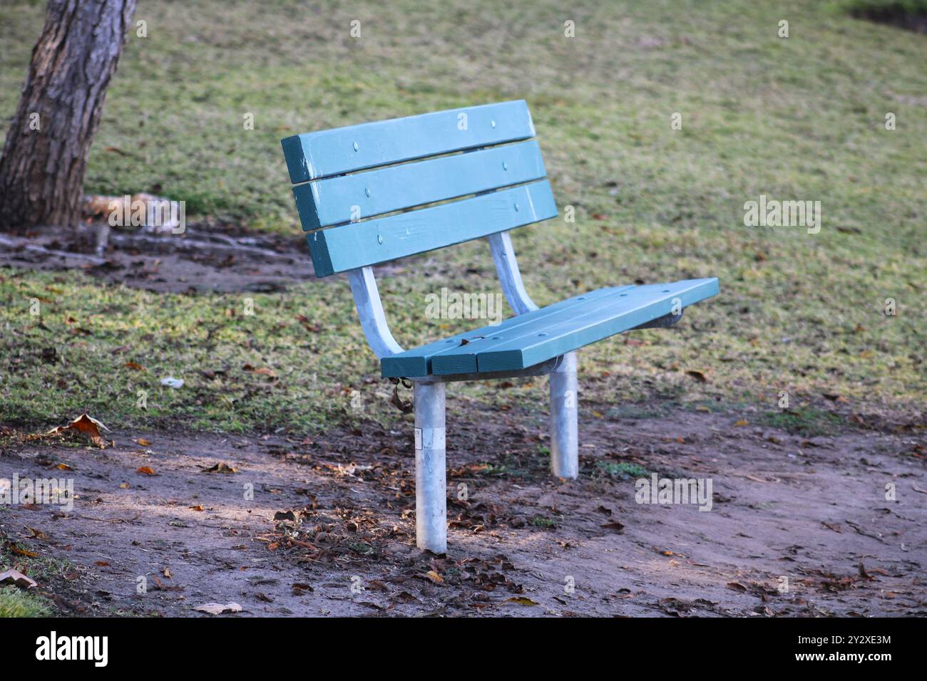 green park bench near trees and grass Stock Photo - Alamy