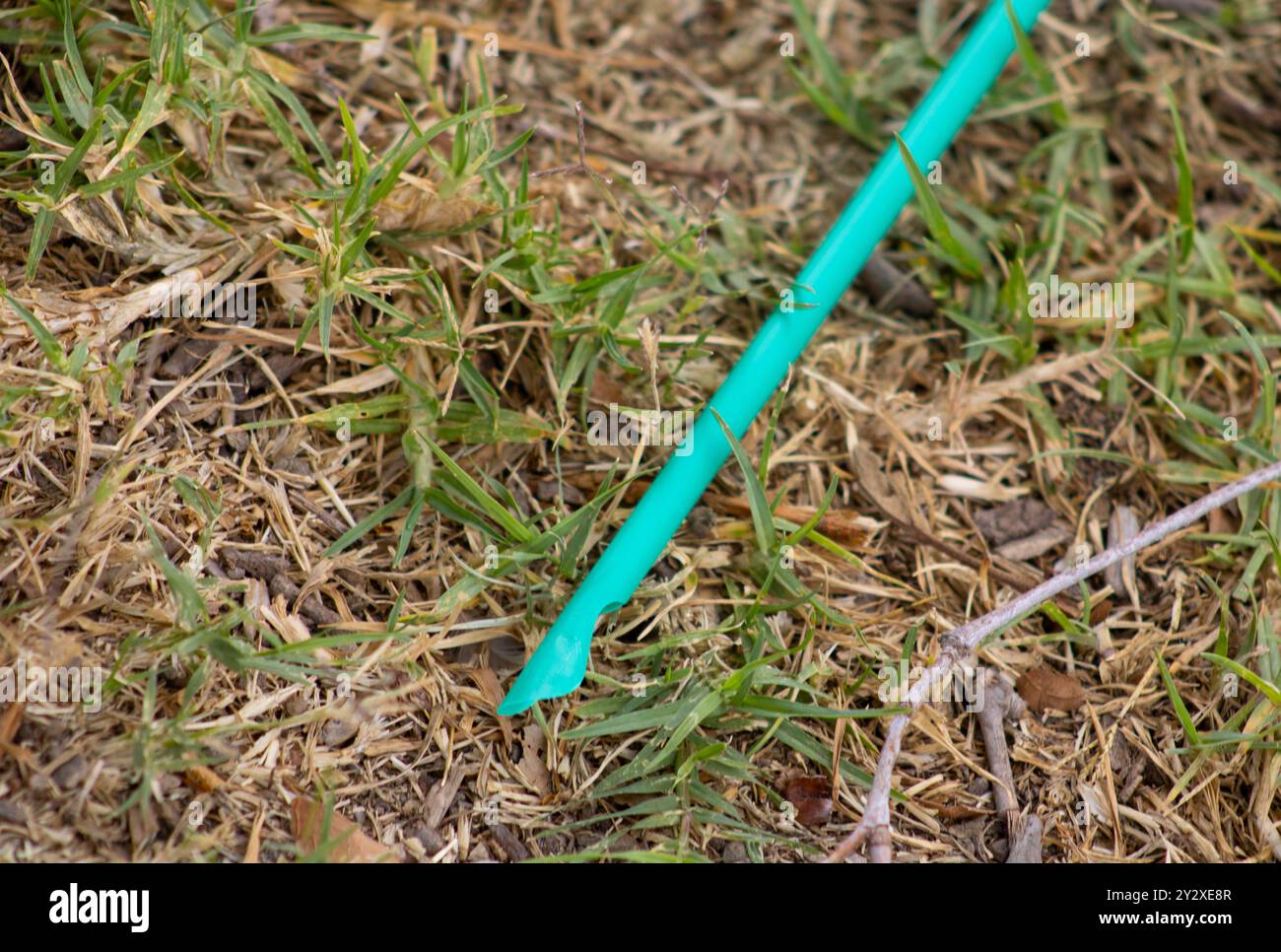 green plastic straw laying in grass Stock Photo - Alamy
