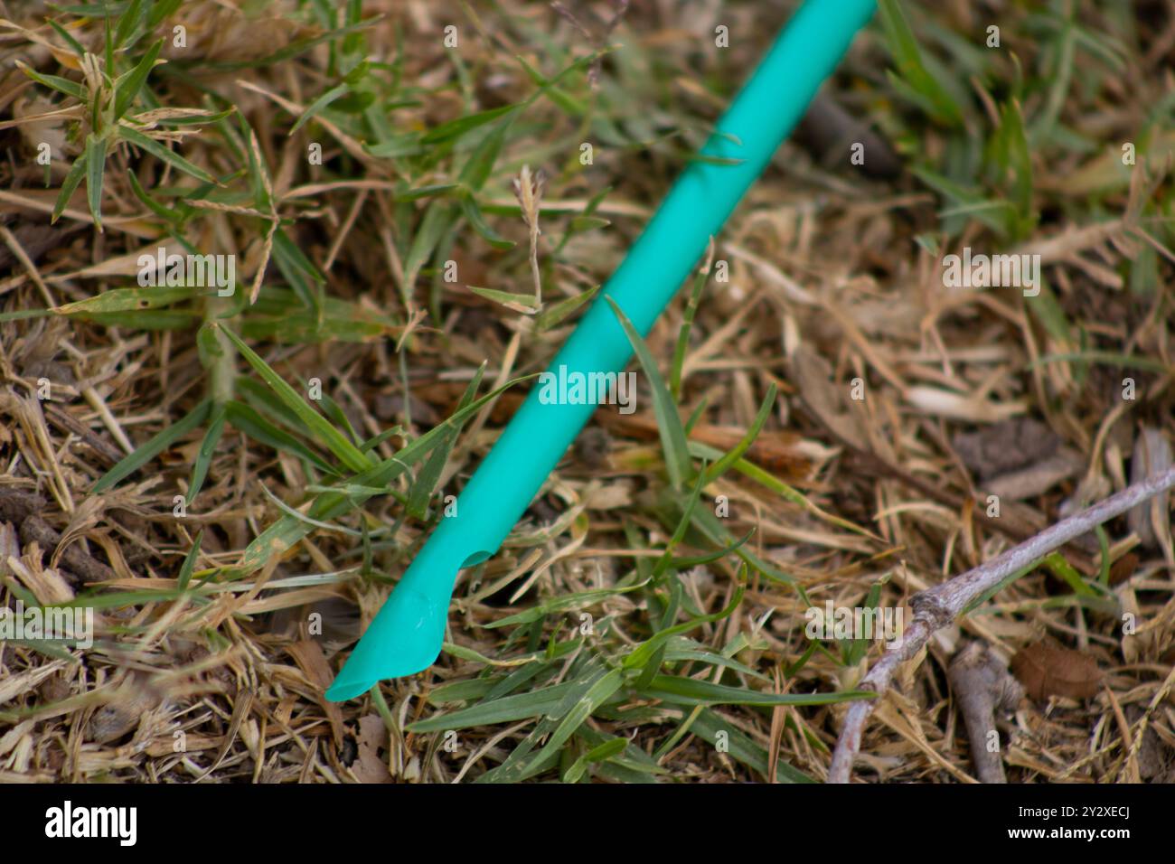 green plastic straw laying in grass Stock Photo - Alamy