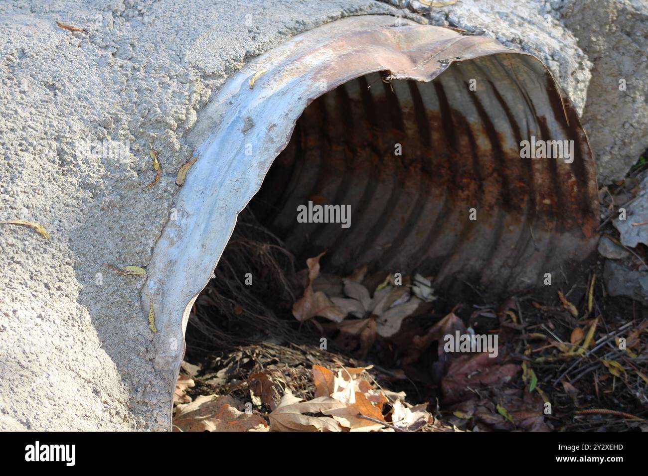 rusted pipe underground with opening filled with leaves Stock Photo - Alamy