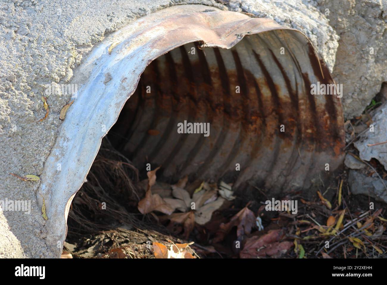 Leaf filled pipe hi-res stock photography and images - Alamy