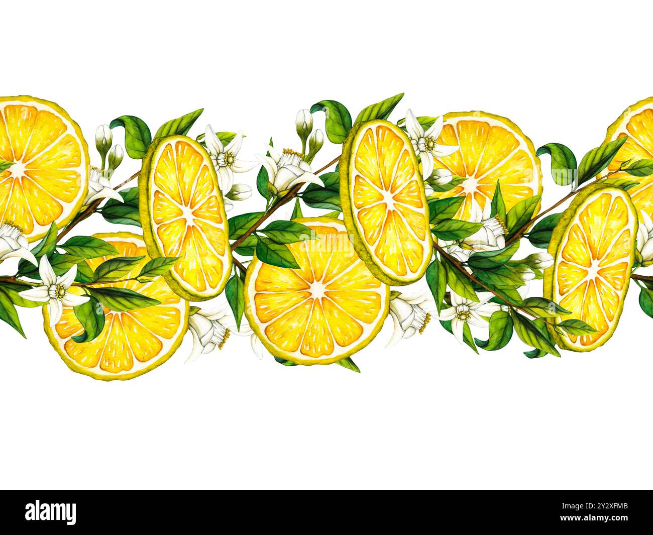 Horizontal Watercolor seamless pattern with lemon tree branches and ...