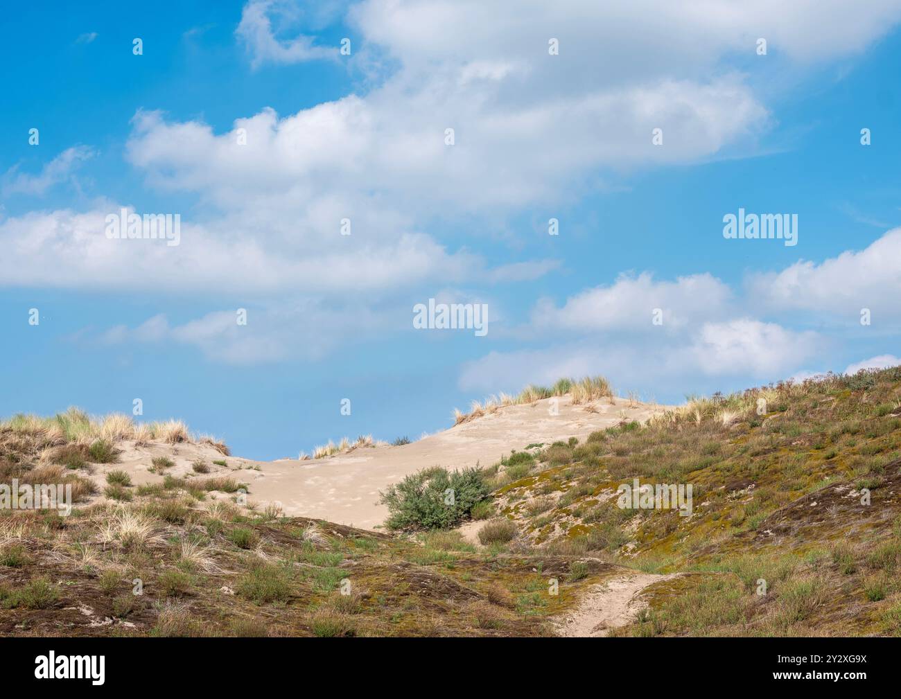 blue sky and clouds over dunes with marram grass at north sea beach in the netherlands Stock ...