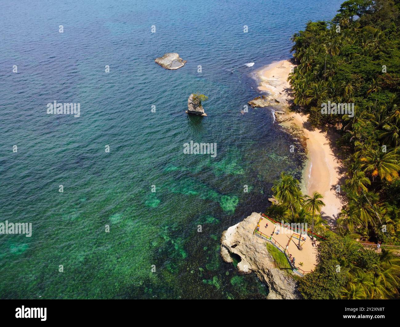 Aerial view of a tropical beach with sandy shore, and lush green trees ...