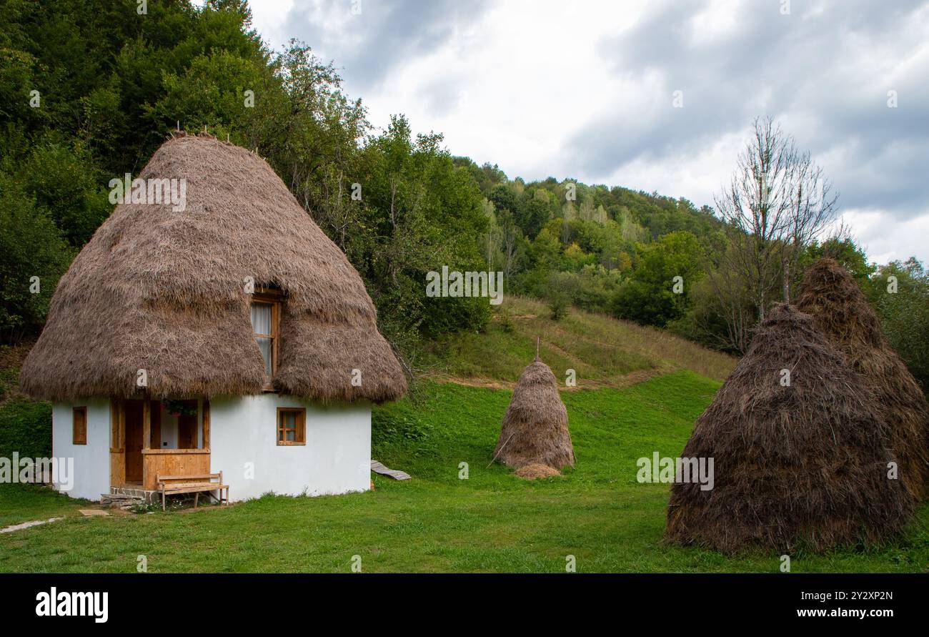 Traditional thatched-roof house and haystacks in a lush green rural ...