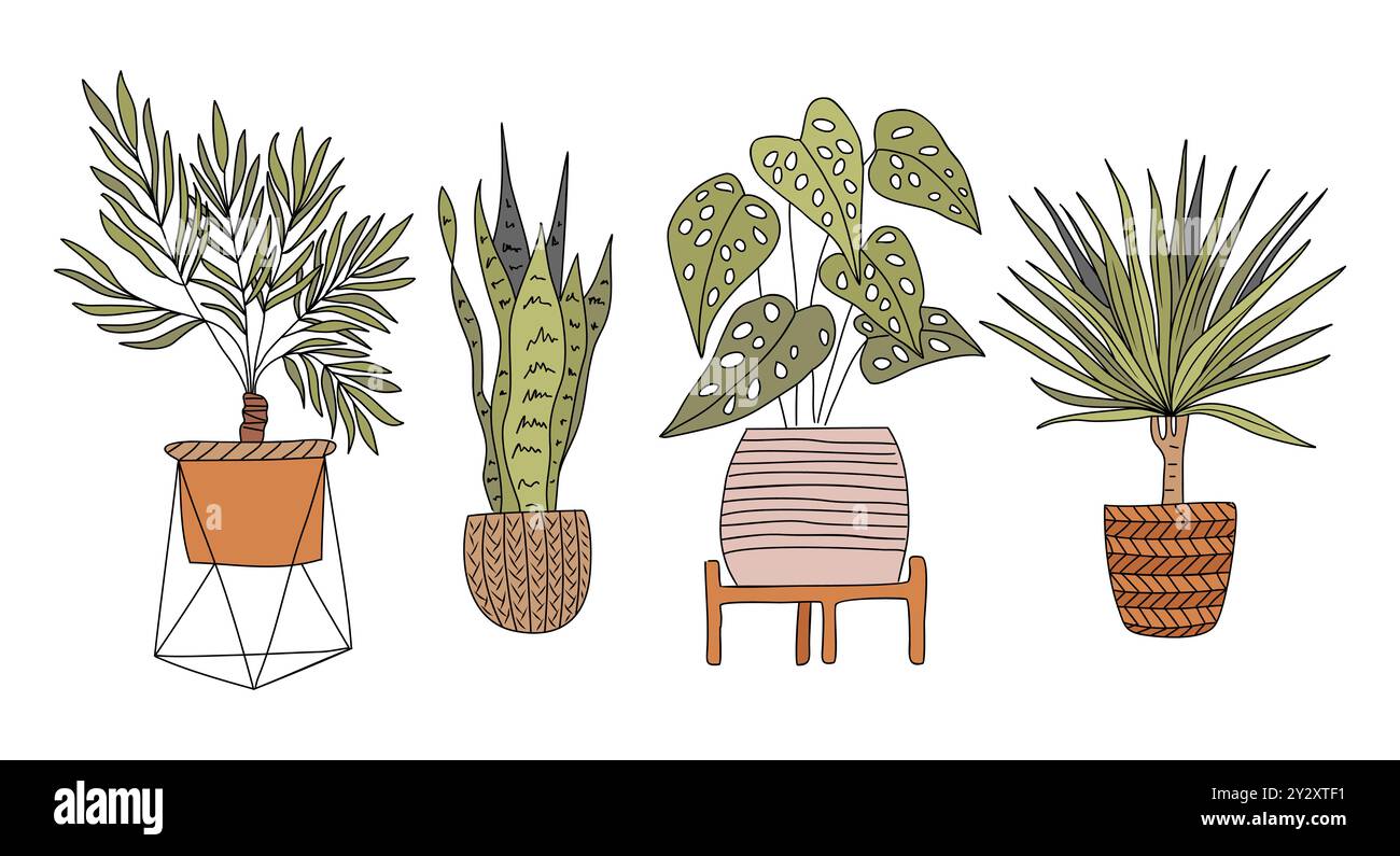 Hand colored botanical drawings hi-res stock photography and images - Alamy