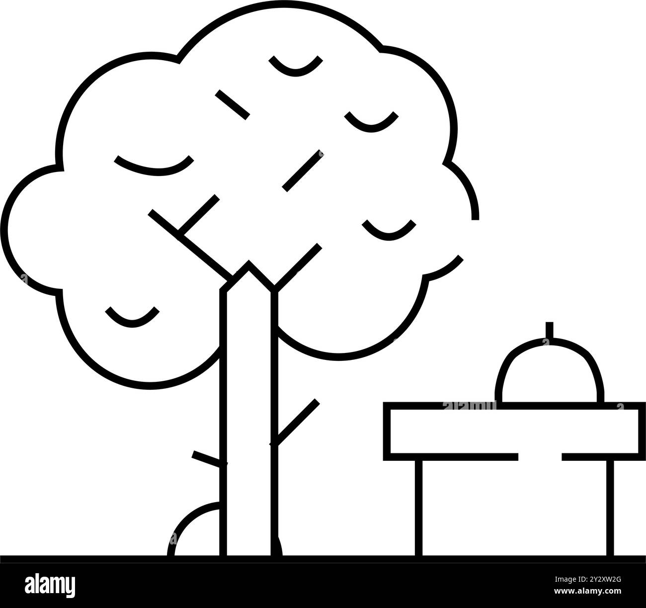 Parachute tree Black and White Stock Photos & Images - Alamy