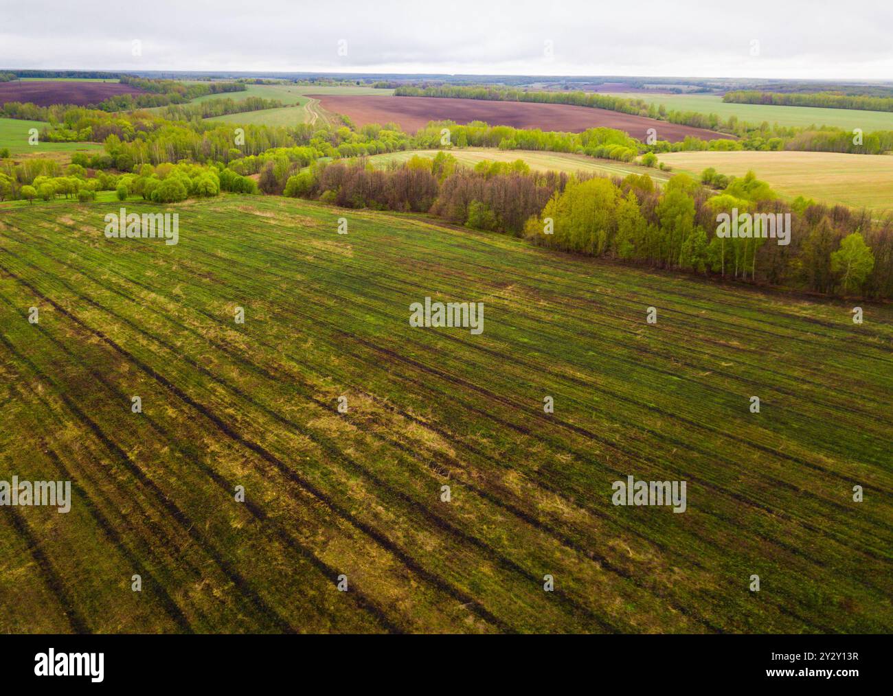 Fields and grasslands of Central Russia Stock Photo - Alamy