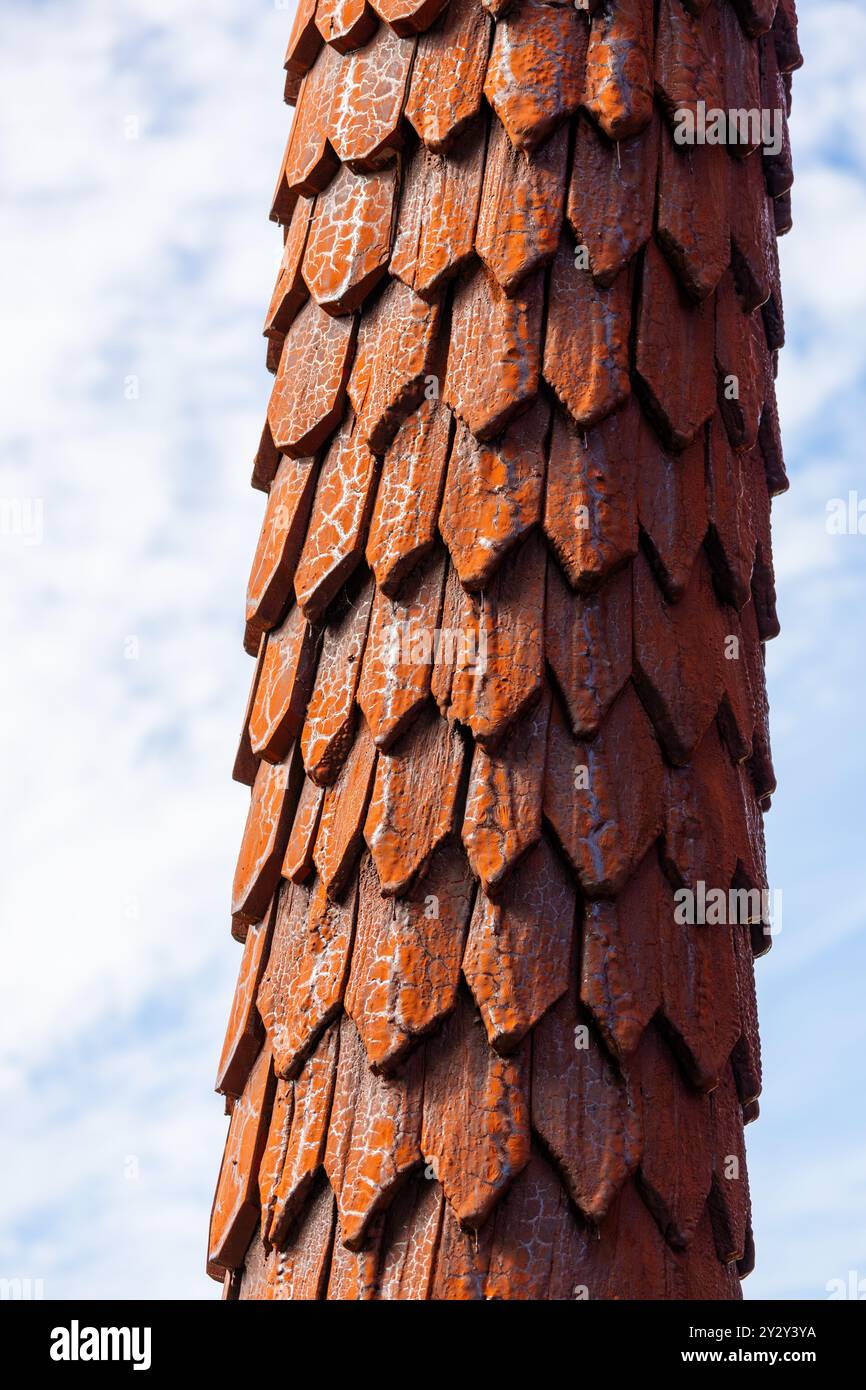 A close-up view of a wooden pole covered in textured, overlapping ...