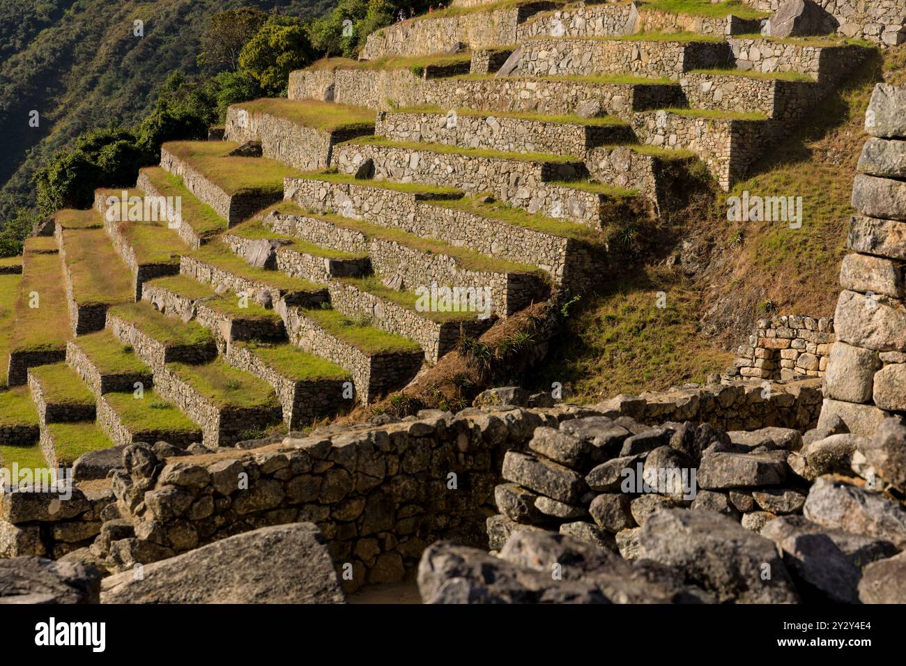 Ancient stone terraces of Machu Picchu in Peru, showcasing Incan ...