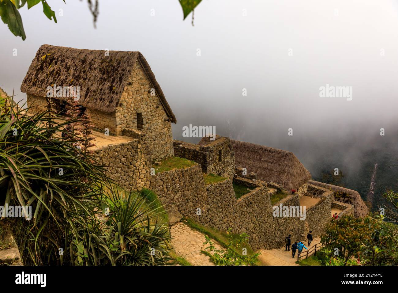 A scenic view of Machu Picchu with ancient stone structures and misty ...