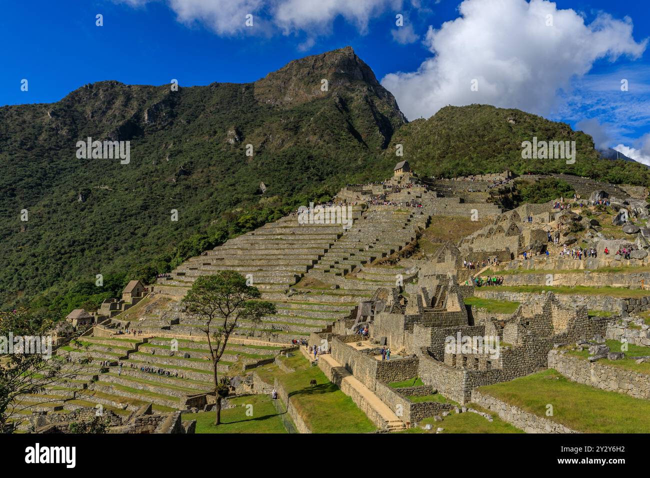 A breathtaking view of Machu Picchu with its ancient terraces and stone ...