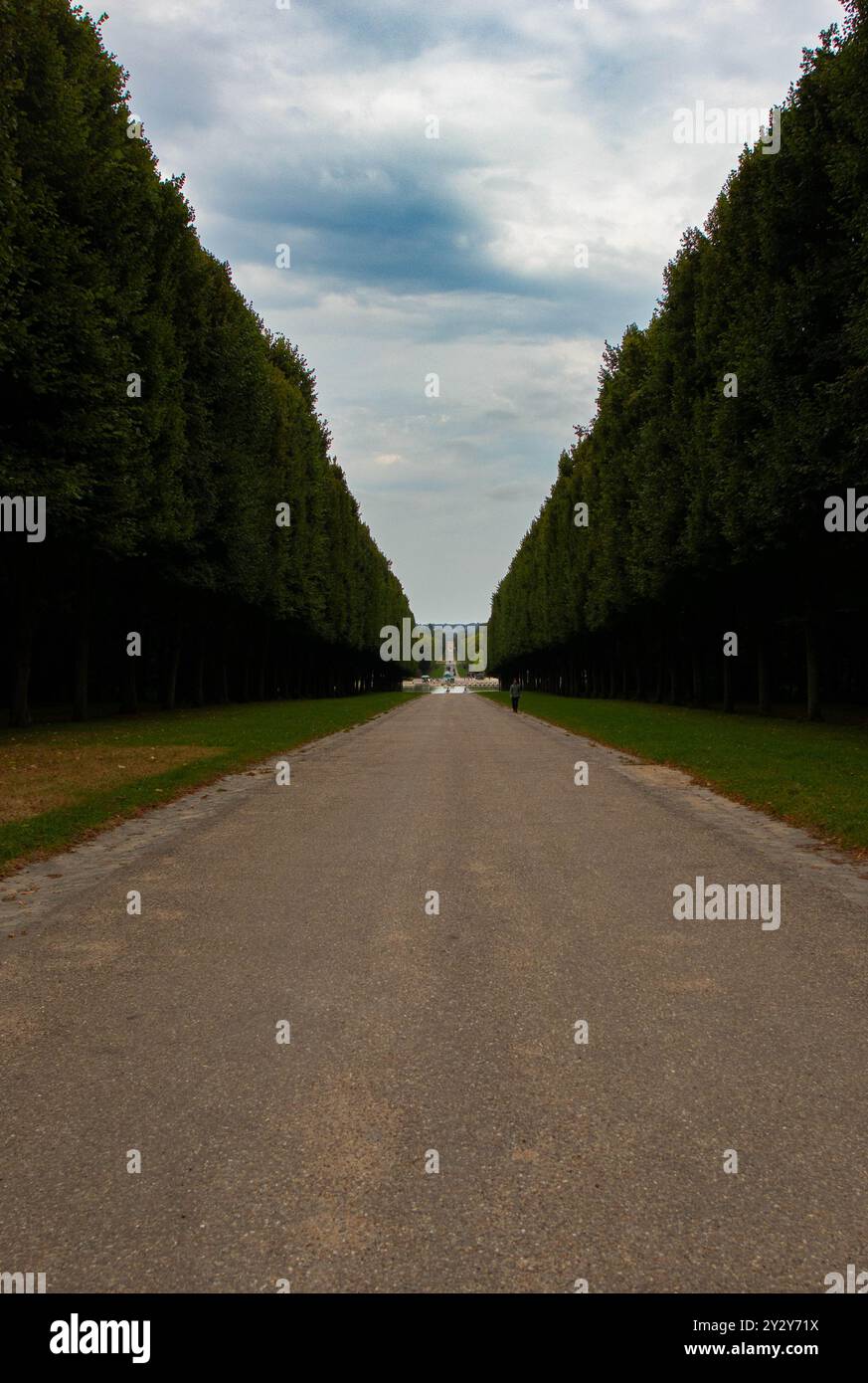 A long pathway lined with tall trees on both sides under a cloudy sky ...