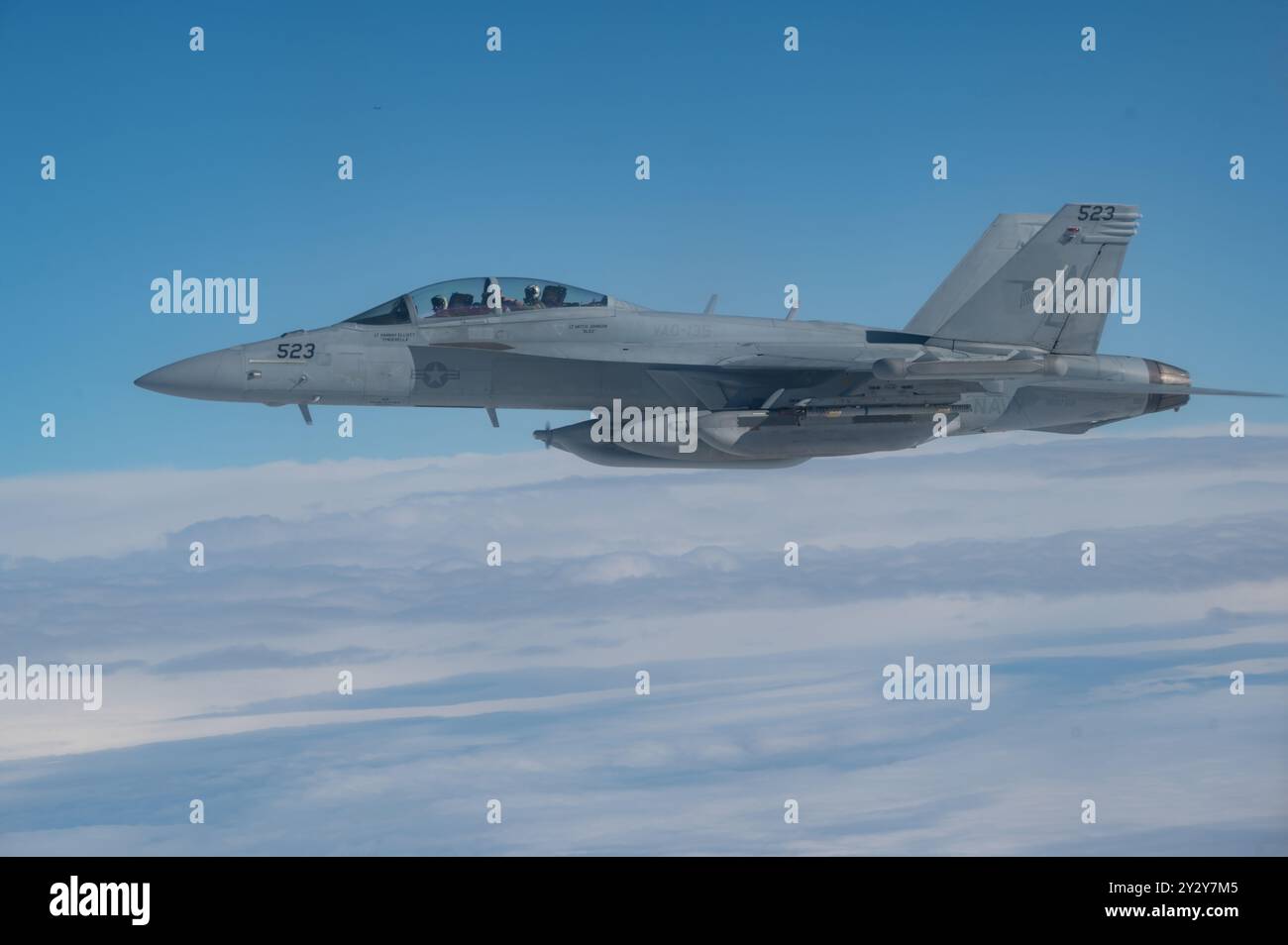 U.S. Navy EA-18G Growler from Electronic Attack Squadron 135 from Naval ...