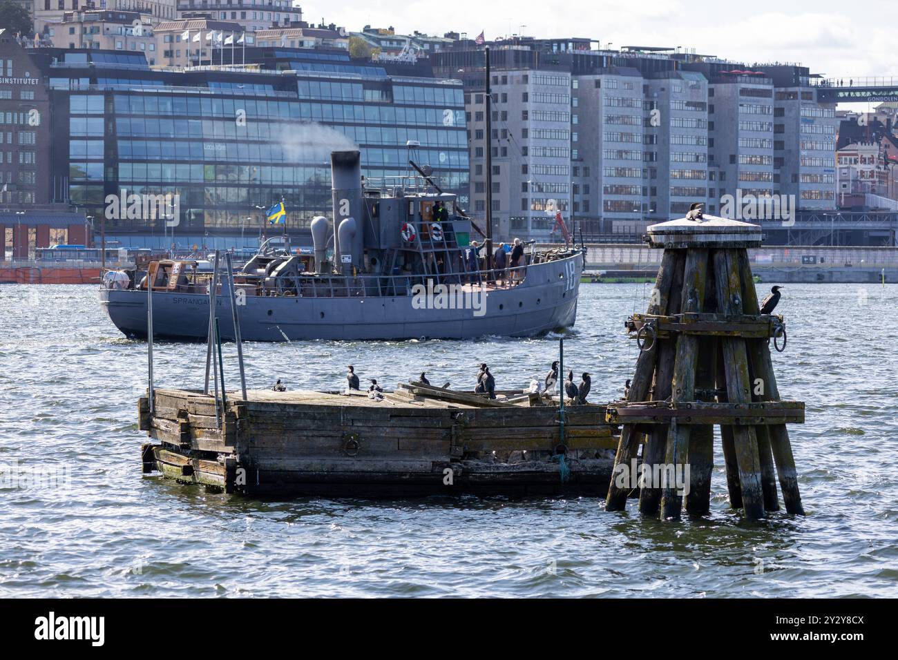 A historic steamboat sails in a harbor with modern buildings in the ...