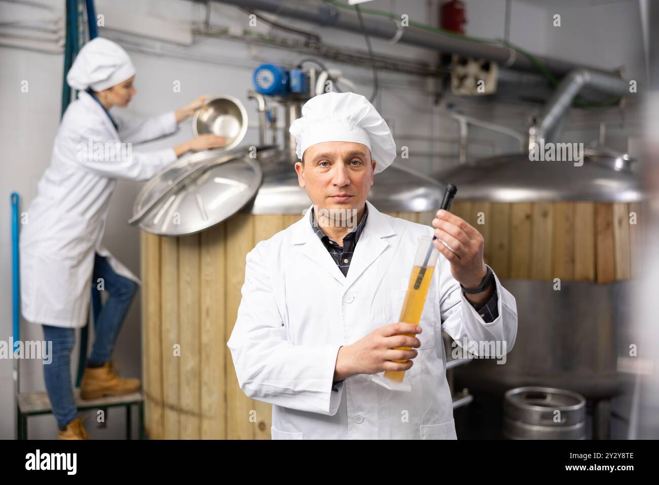 Brewmaster measuring beer density with digital hydrometer in brewery ...