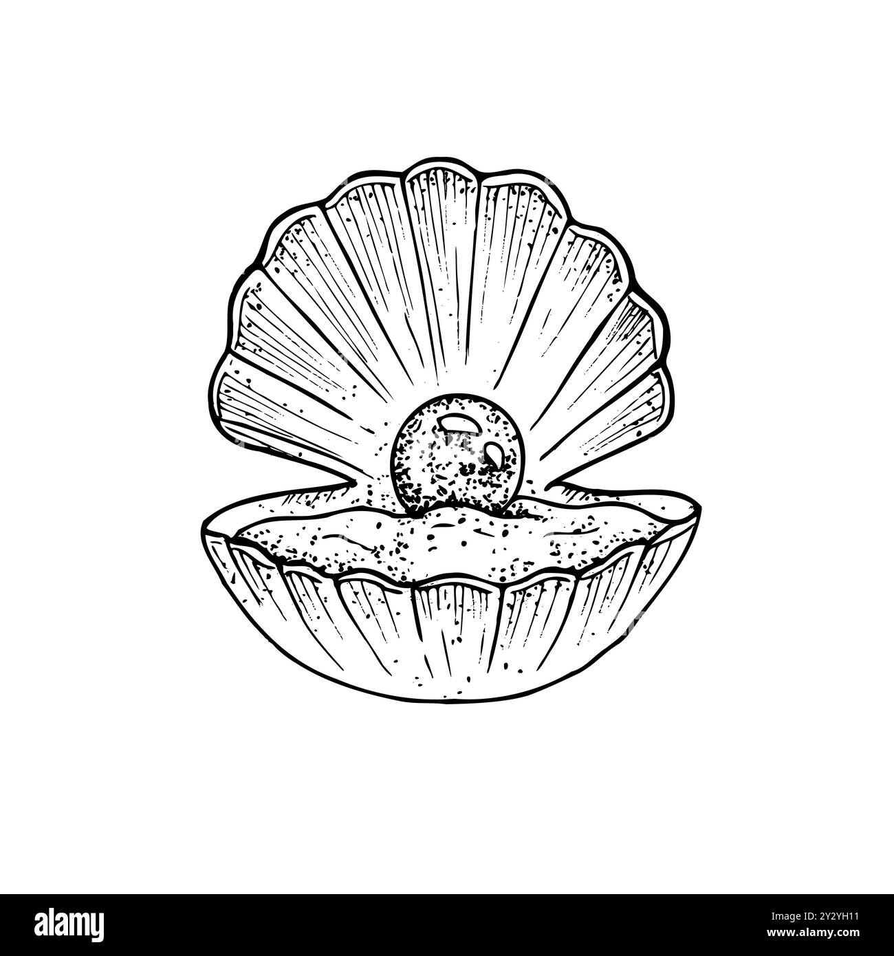 Oyster With Pearl Drawing Illustration Of Oyster Pearl Our Beautiful
