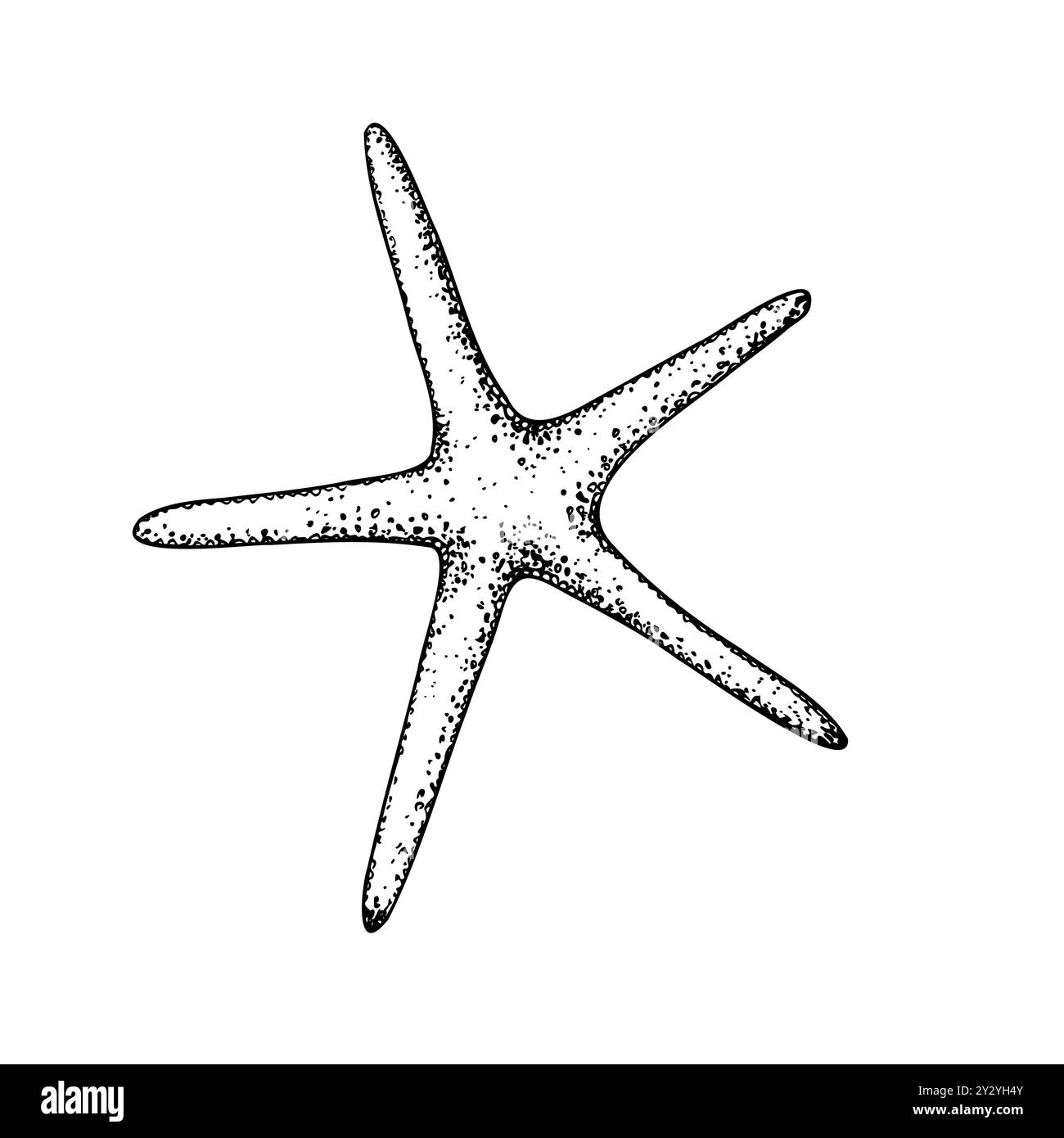 Vector starfish. Hand painted line sketch. Graphic tropical clip art ...