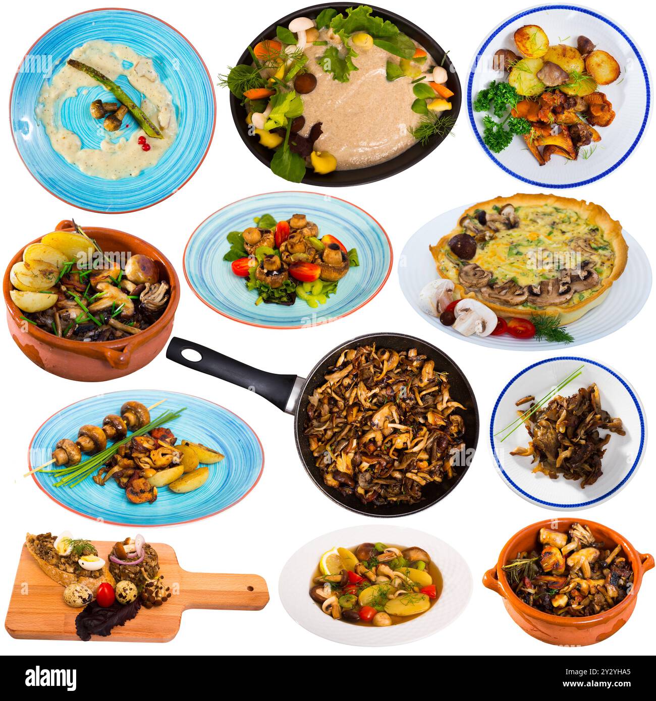 Set of assorted dishes with mushrooms Stock Photo - Alamy