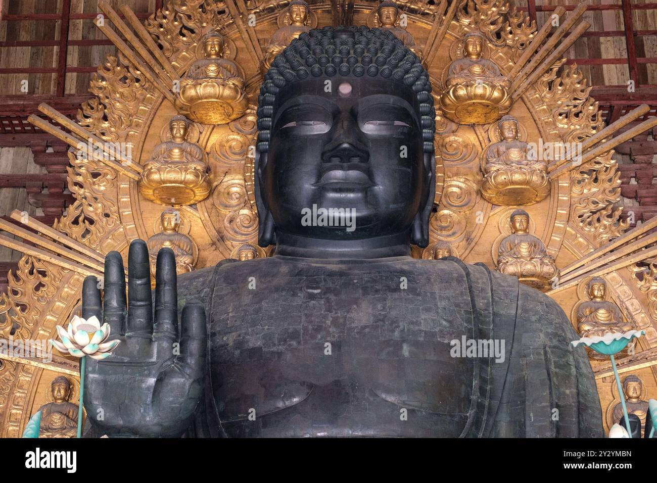 The Great Buddha is seen inside the Todai-ji temple in Nara, Japan ...