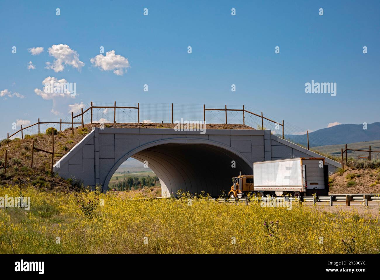 Kremmling, Colorado - A wildlife overpass that allows mule deer and ...
