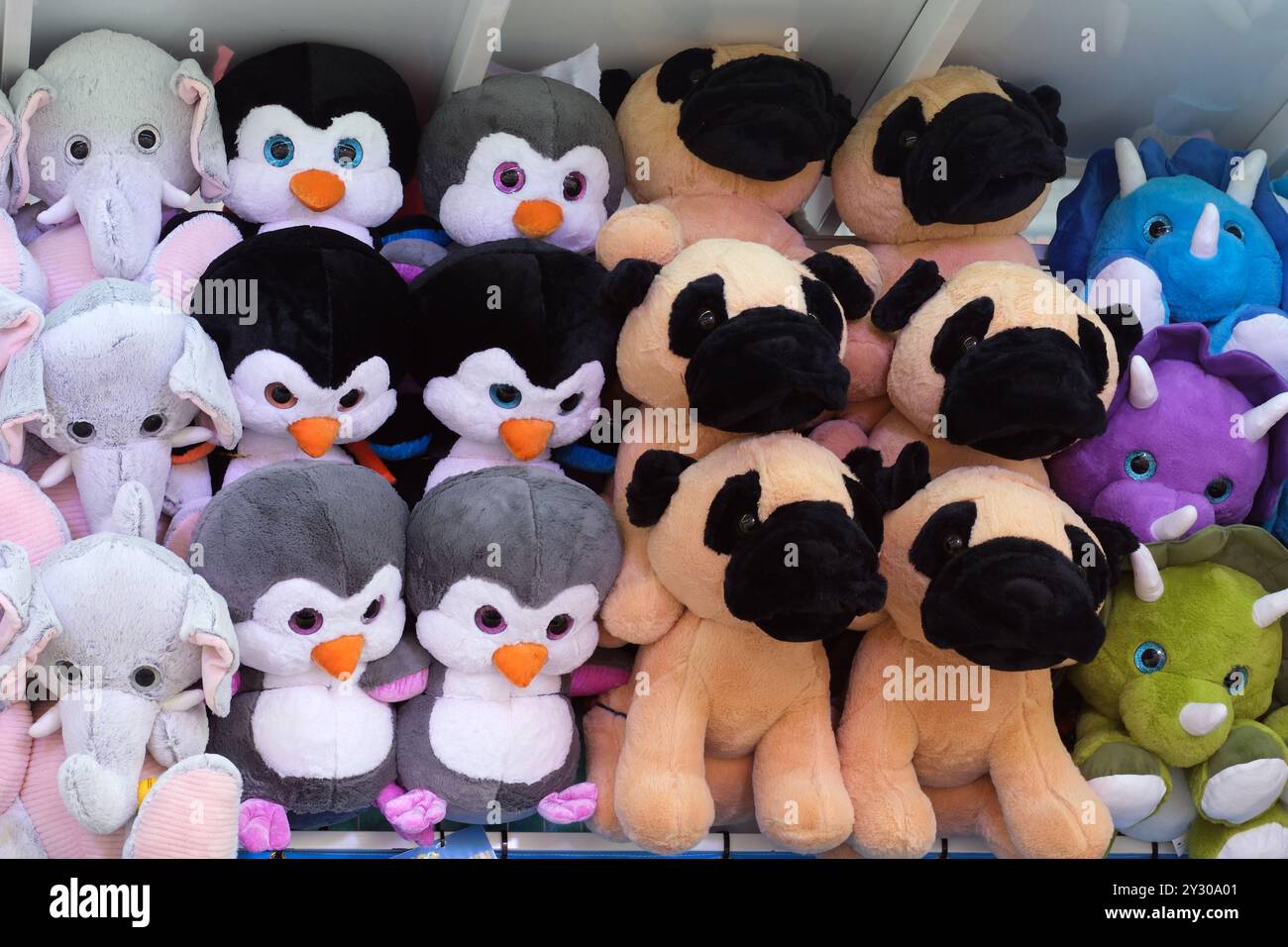 Fluffy toys on display at the 2024 Royal Adelaide Show in Australia ...