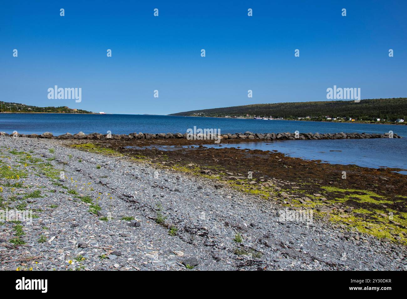 Beach in Harbour Grace, Newfoundland & Labrador, Canada Stock Photo - Alamy