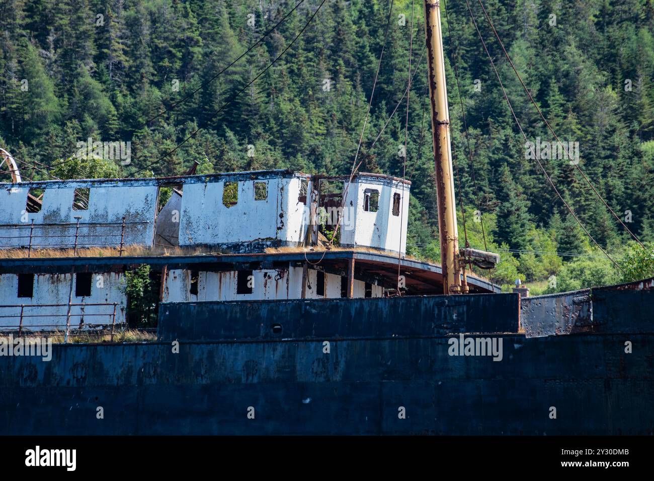 SS Kyle shipwreck in Harbour Grace, Newfoundland & Labrador, Canada ...