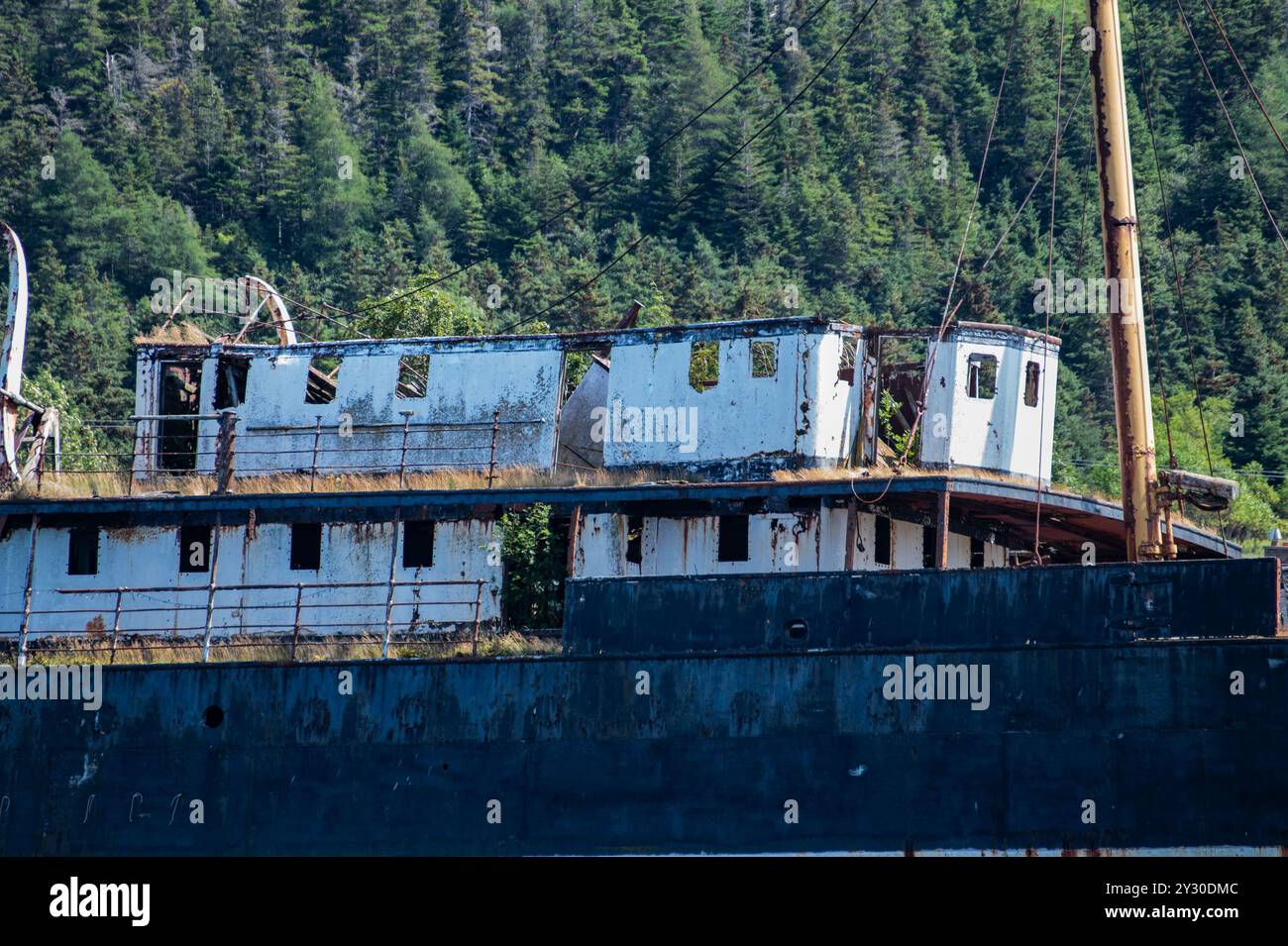 SS Kyle shipwreck in Harbour Grace, Newfoundland & Labrador, Canada ...