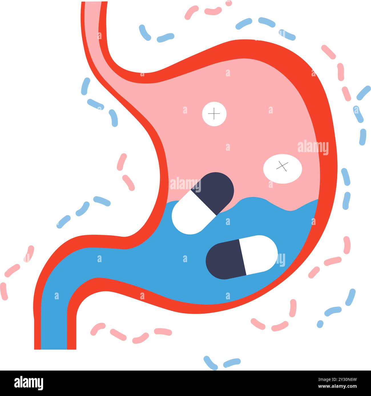Medical capsules inside human stomach Stock Vector Image & Art - Alamy