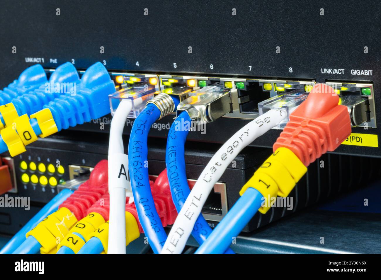 Network hub with LAN cable connected to patch cables connected to ...