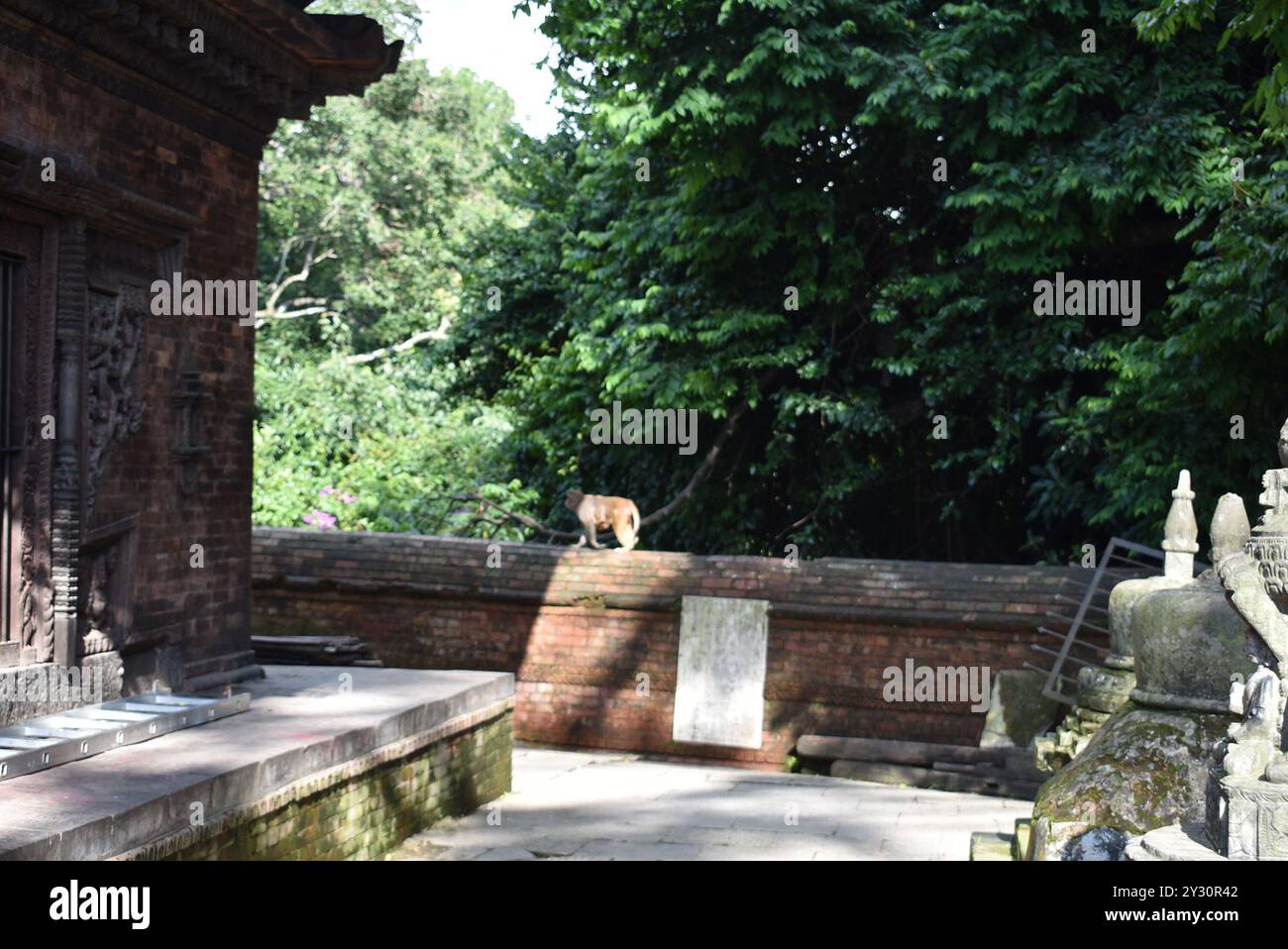 Sankhu Bajrayogini Temple Kathmandu Nepal Stock Photo - Alamy