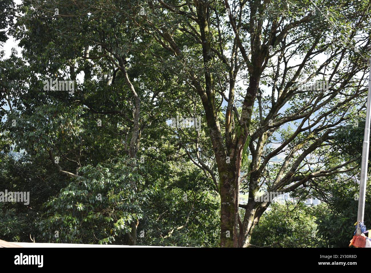 Sankhu Bajrayogini Temple Kathmandu Nepal Stock Photo - Alamy